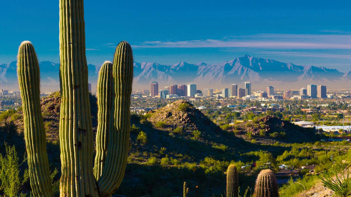 SAM Marketplace | Equipment Sales and Auctions | Phoenix, AZ